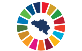 Do Belgian organizations embrace the SDGs?